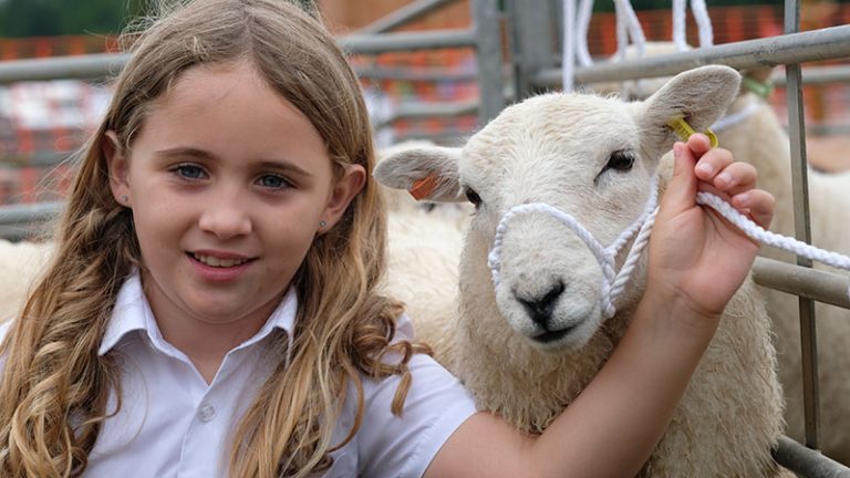 Home - The Gower Show