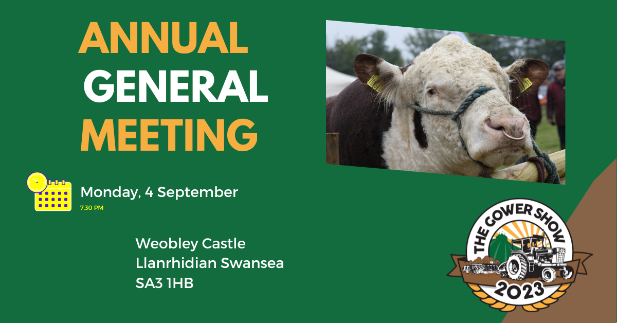 NEWS - The Gower Show